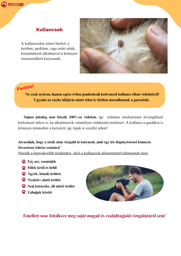 Parasites: external and internal parasites - PetWiseCare